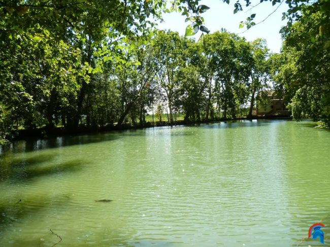 Finca del Castell de Remei