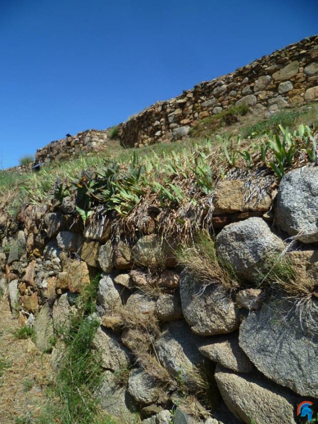 Poblado ibérico del Puig Castellar